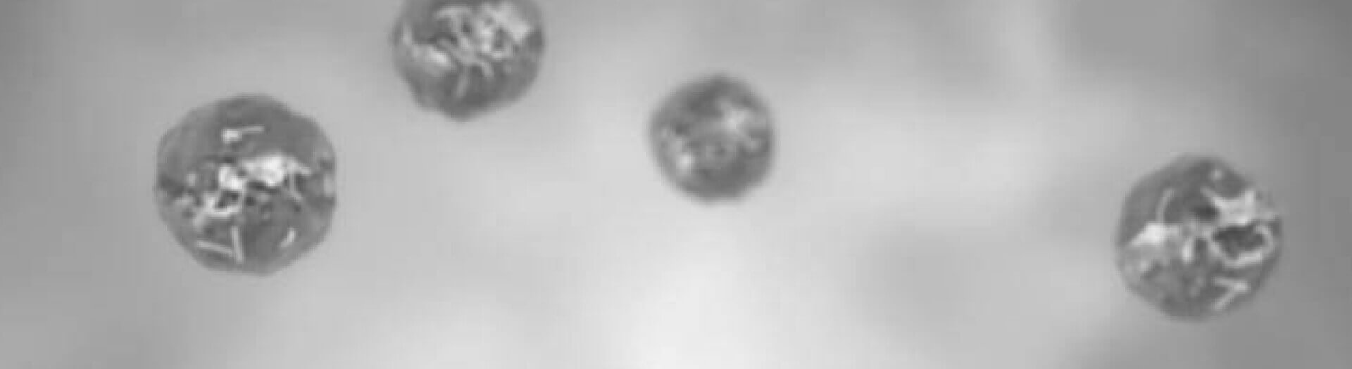 Exosome Therapy Miami Fl Stems Health Regenerative Medicine